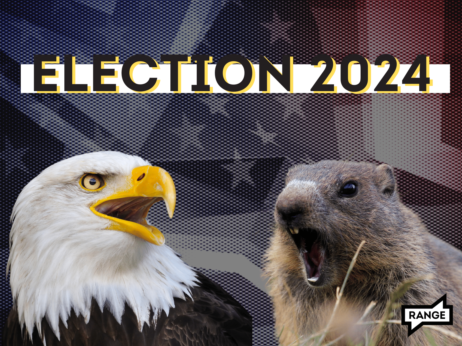 Is French fried? Probably not. – RANGE Media